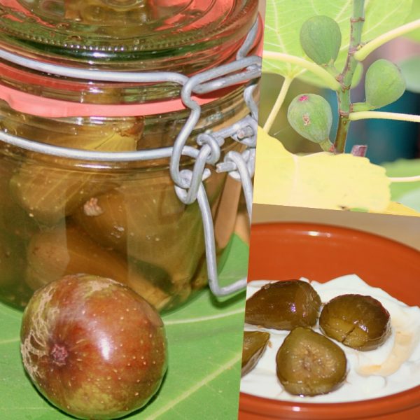 Rezept Unreife Feigen